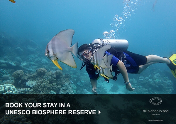 Milaidhoo Island Maldives, Milaidhoo Island, Baa Atoll