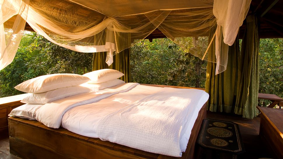 Baghvan, Pench National Park, Madhya Pradesh