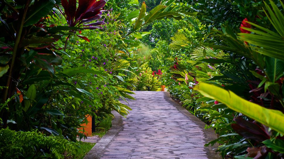 Nayara Hotel Spa & Gardens, Alajuela, Costa Rica